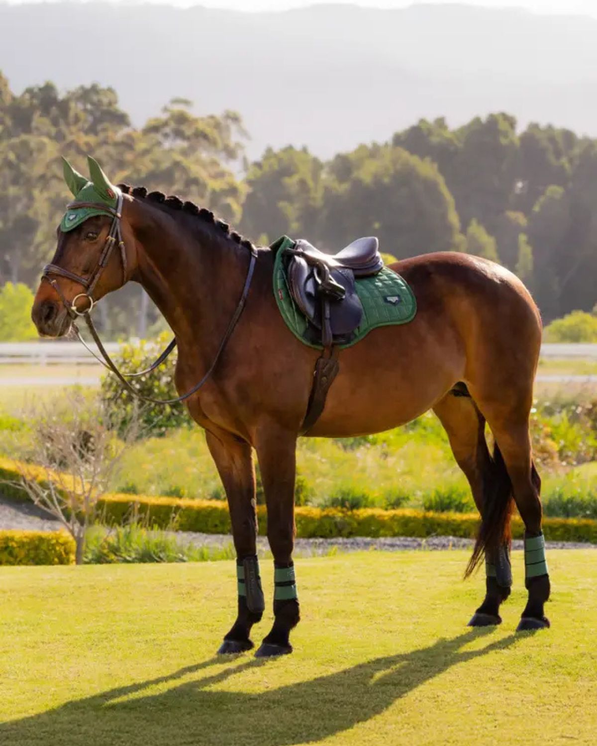 LeMieux Loire Classic GP Square Hunter Green | Equiflair