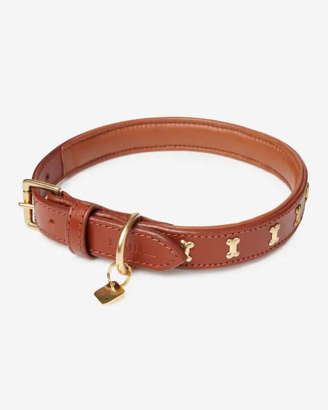 LeMieux Dog Collar Tan Leather | Equiflair