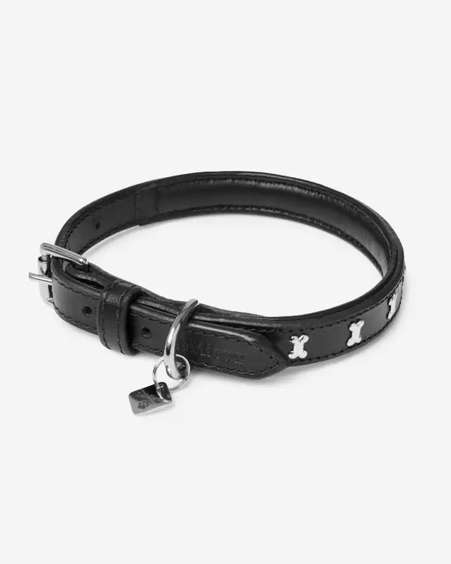 LeMieux Chelsea Dog Collar Black | Equiflair
